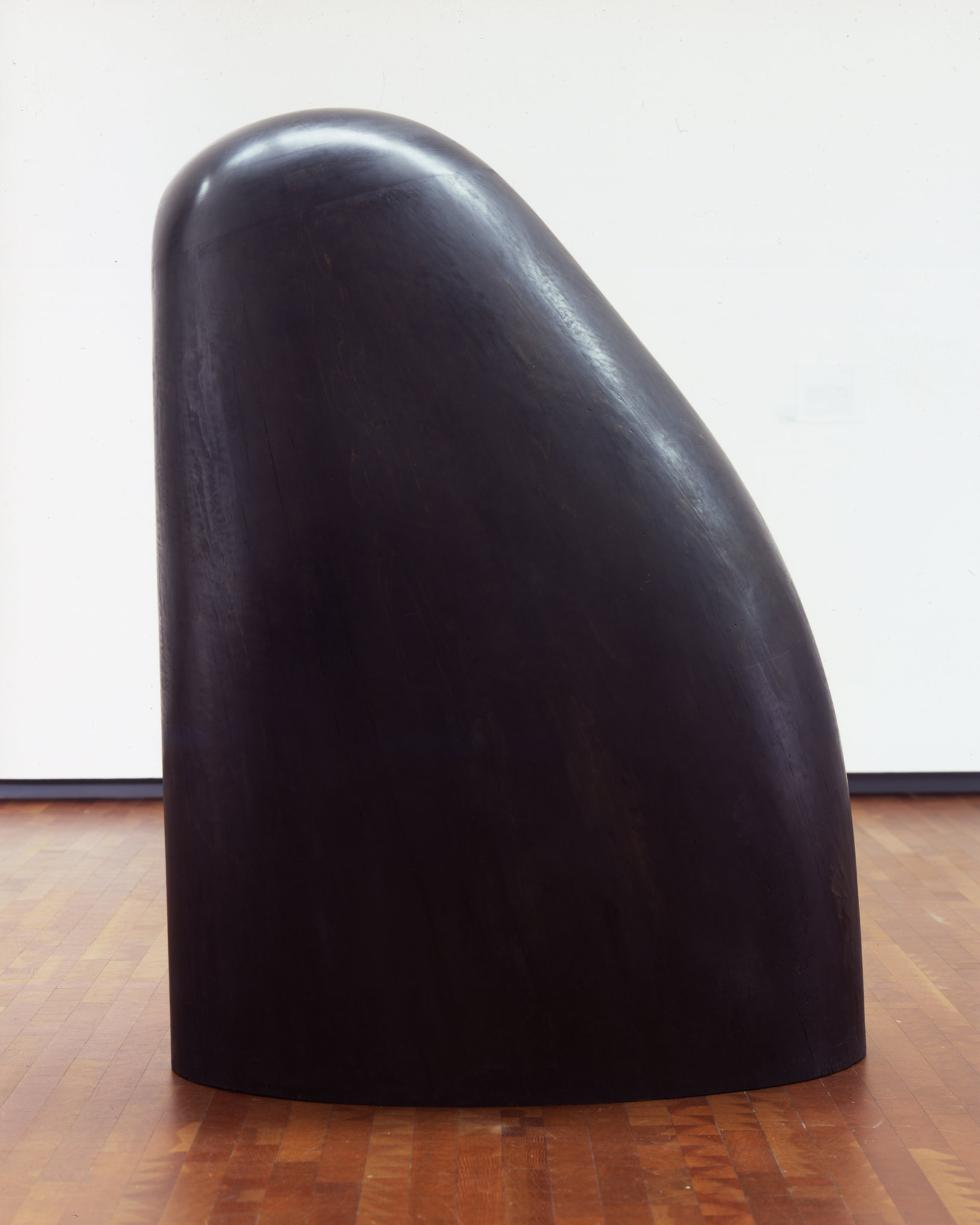 Martin Puryear, Citizen-Sculptor - Kenneth Caldwell
